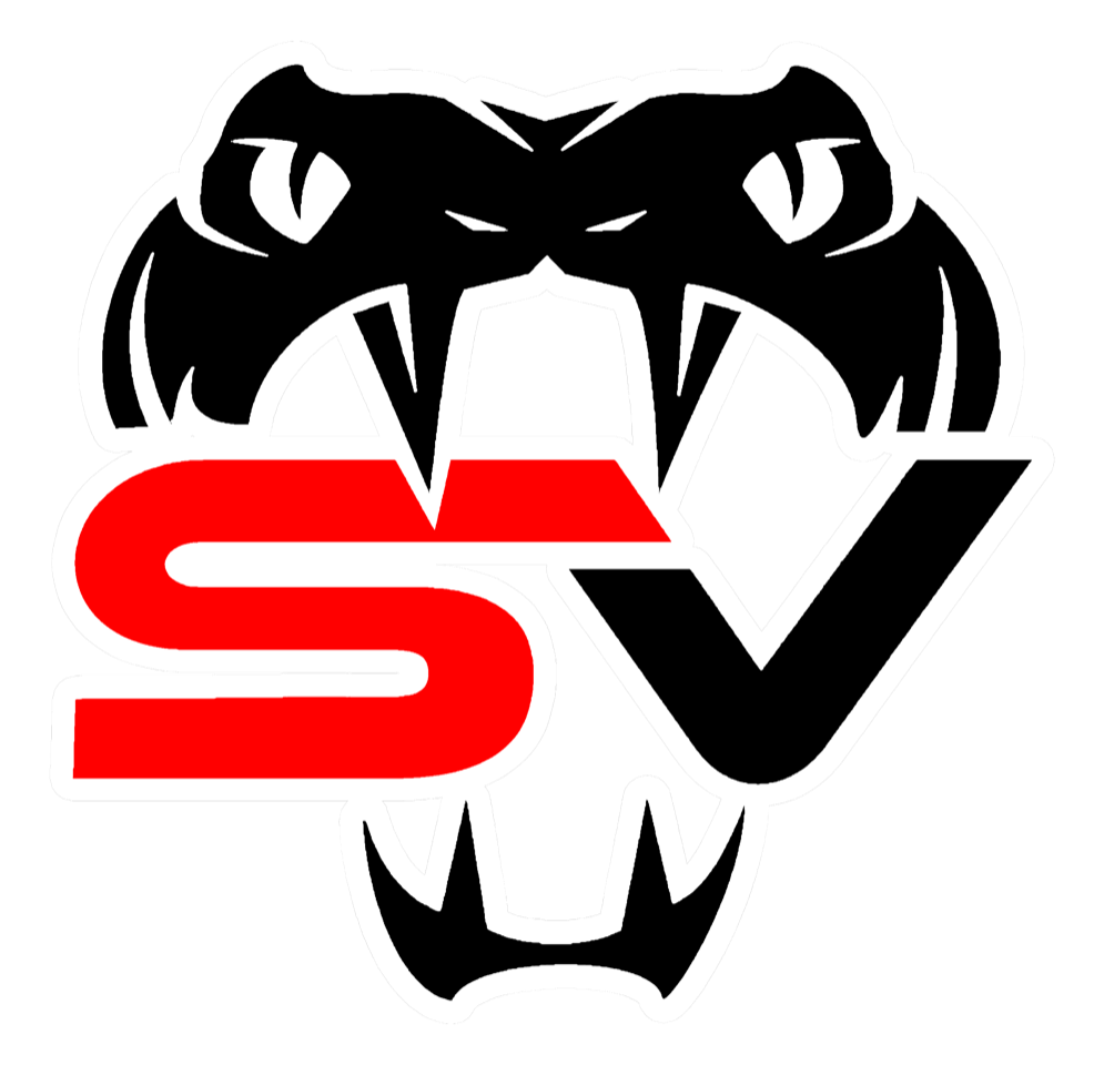 Stars Vipers | All-Star Cheerleading in Schertz & San Antonio, TX